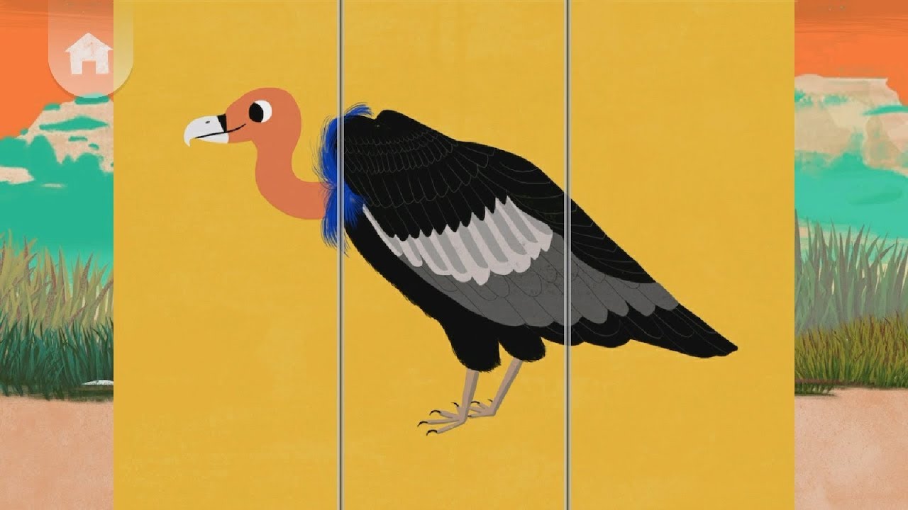 Animal Match Up Learn Animal Names Combined Real Animals Fun ...