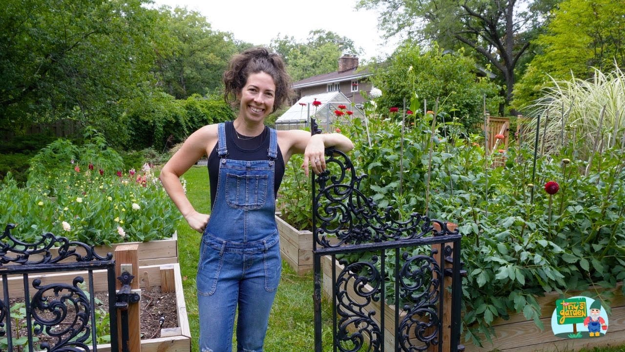 August Raised Bed Cut Flower Garden Tour - A Home Gardener's Passion ...
