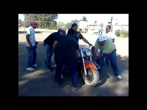 Acrobacia Internacional Hunos, Caballo en una moto Harley Davidson