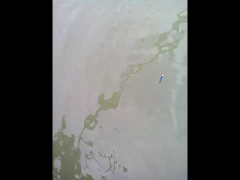 Traditional fishing ayungin - YouTube