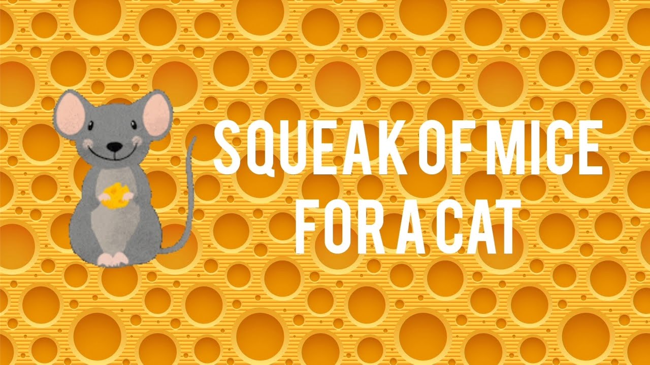 Squeak of mice for a cat - YouTube