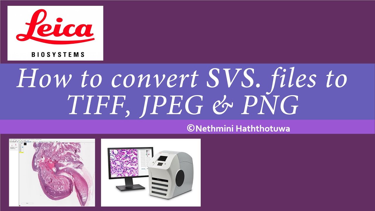 How to convert SVS files to Tiff, JPG or PNG - YouTube