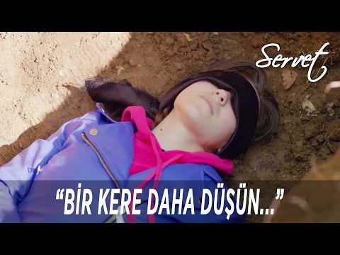 Büyük sır ormana gömüldü! | Servet