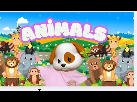 ANİMALS SONG / PLAYFUL , FUNNY KİDS SONG - YouTube