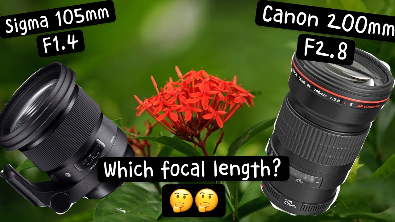 105mm VS 200mm Focal Length - Focal Length Comparison - YouTube