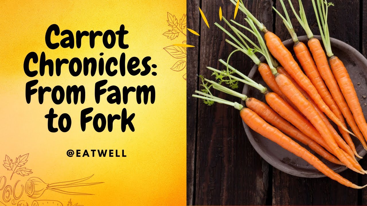 "Carrot Chronicles: From Farm to Fork" | @eatwell13 - YouTube