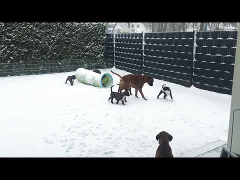 ...Spielstunde im Schnee mit Tante Amy