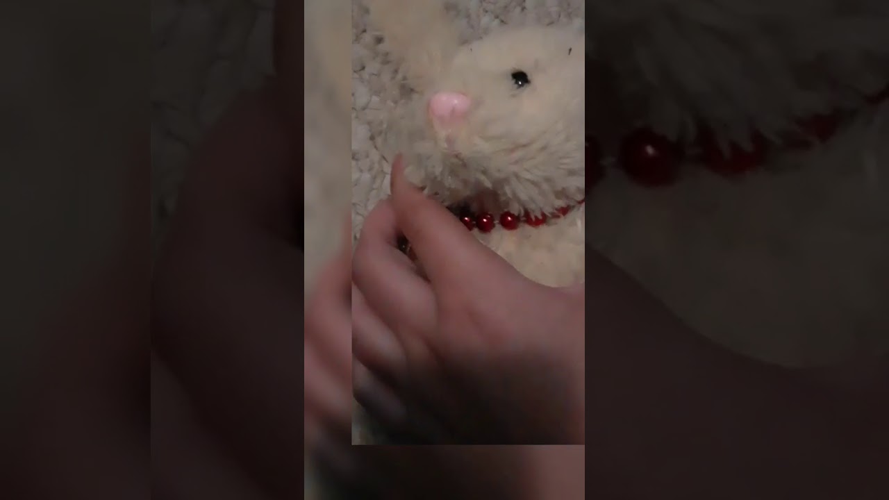 Evil robot chicken's take over the world part one 😈🤖🌎 - YouTube