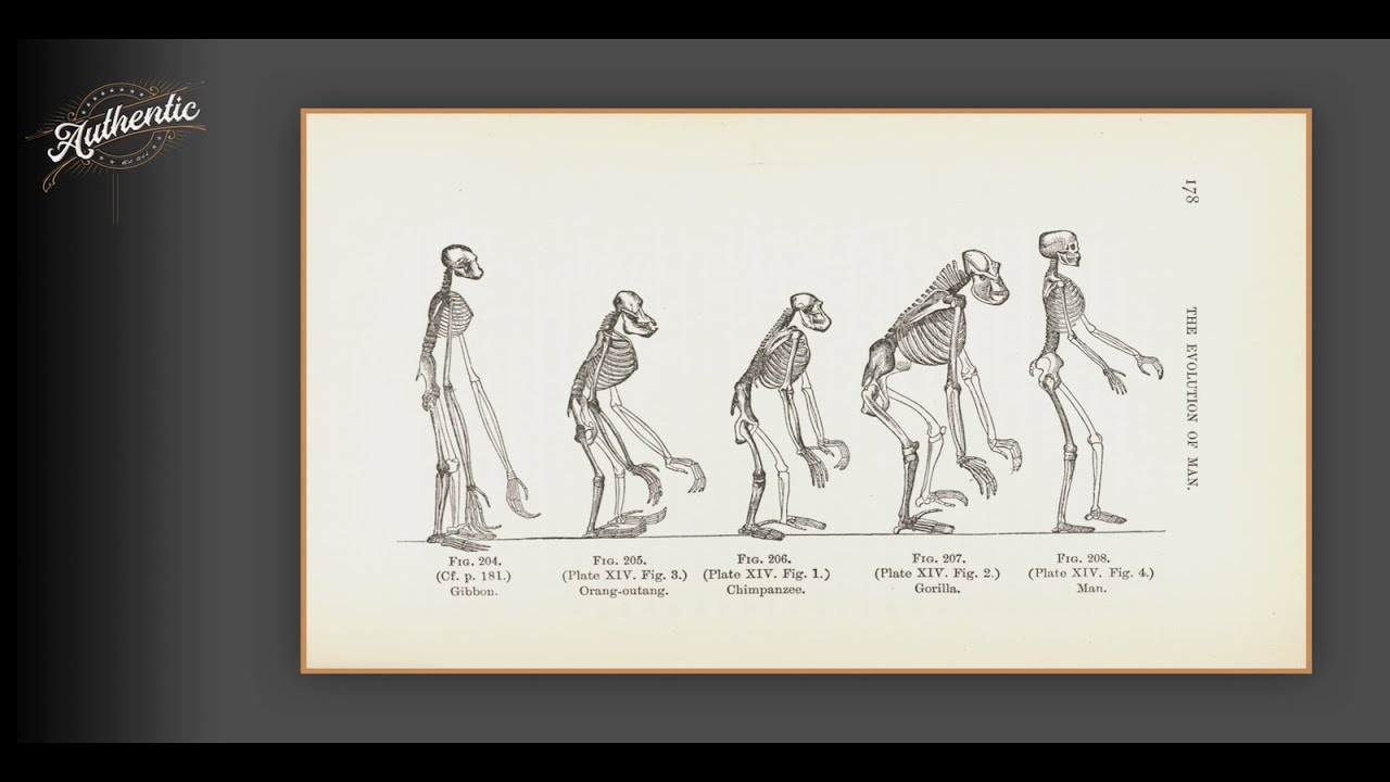 The Illusion of Progress | AUTHENTIC - YouTube