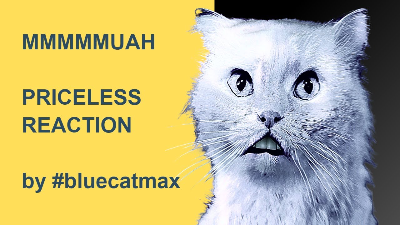 MMMMUAH - Funny Cat Memes by #bluecatmax - PRICELESS FACE at the end ...