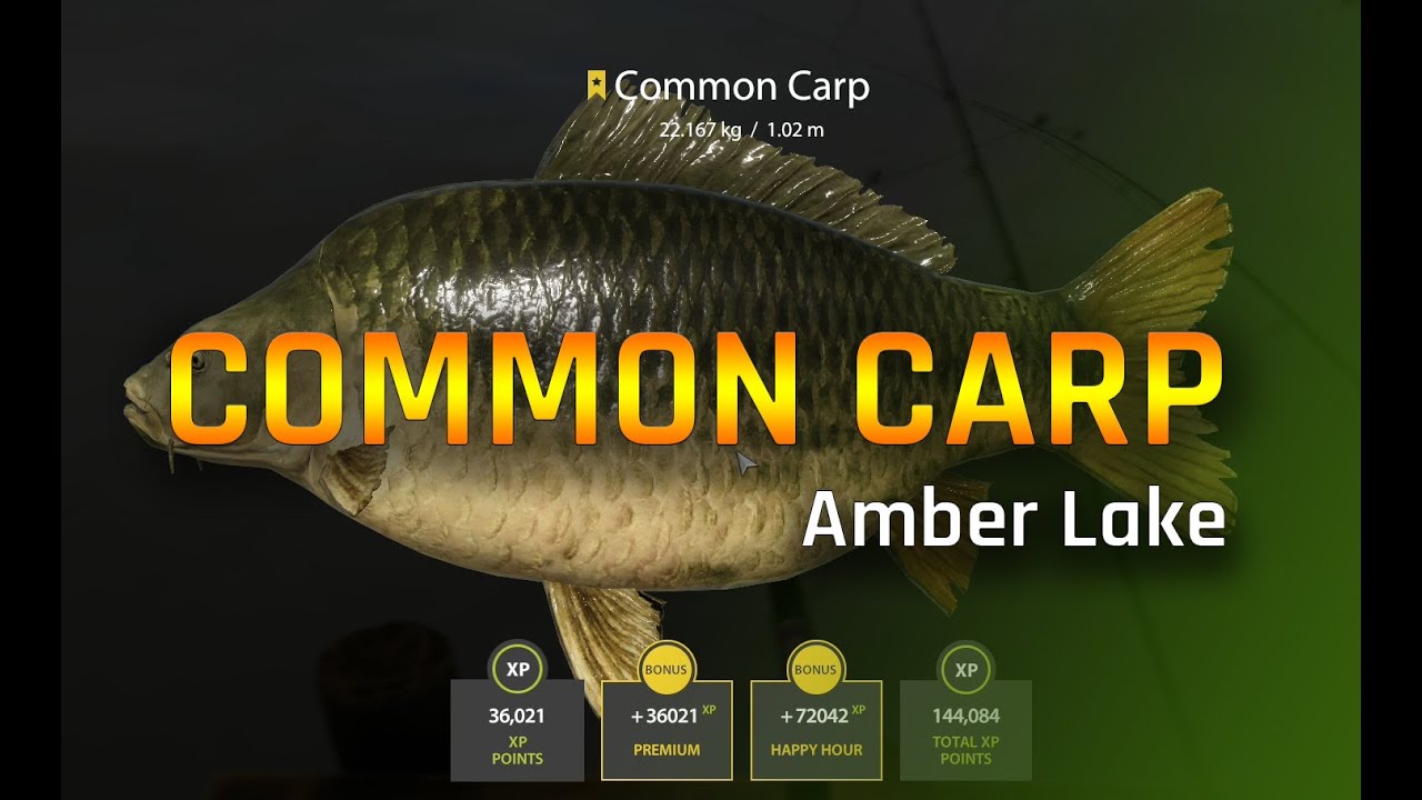 RUSSIAN FISHING 4 - RF4 | COMMON CARP | AMBER LAKE - YouTube