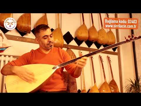 SIRRI LAÇİN ~ GEL YANIMA GEL (Kod; 02403)