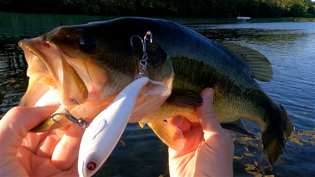 Summer Largemouth Bass Kayak Fishing ft NDYAKANGLER - YouTube