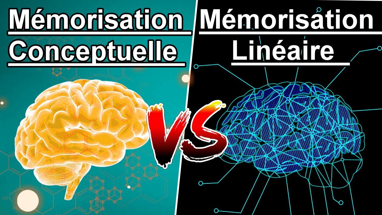 Quelle méthode est-t-elle meilleure pour mémoriser rapidement ? - YouTube