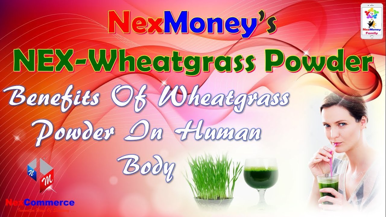 Benefits Of NexMoney's NEX-Wheatgrass Powder In Human Body. - YouTube