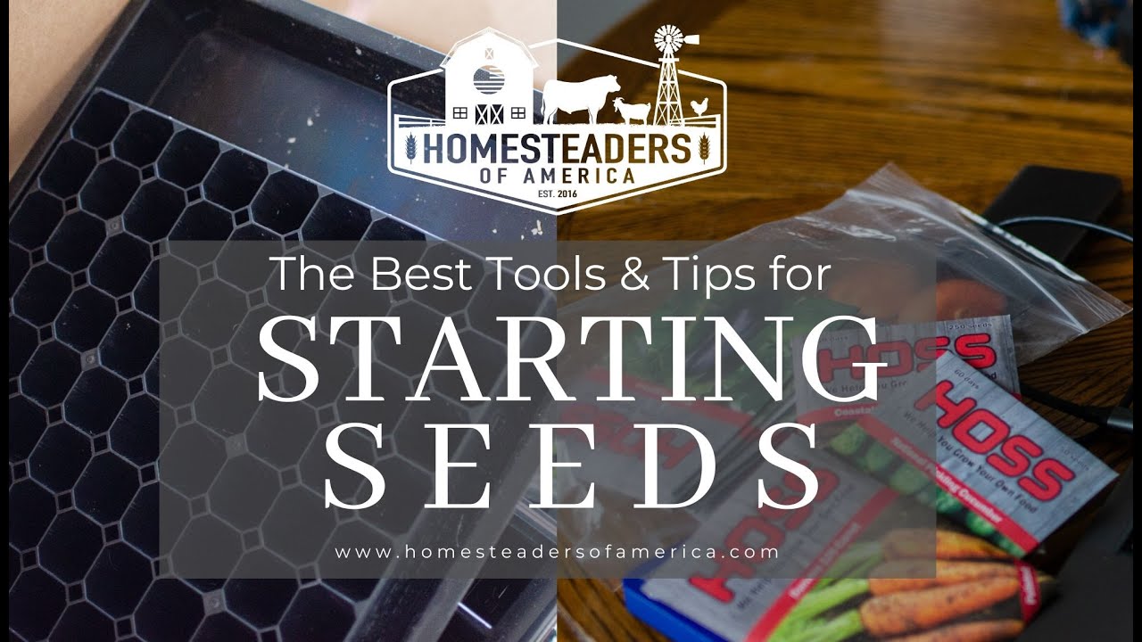 Tips and Tools for Starting Your Seeds! - YouTube
