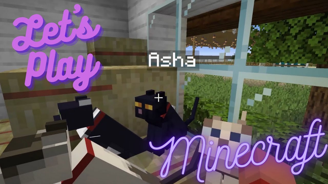 Naming my cat's new baby kittens! Minecraft SWEM! Horseshoe Stables ...