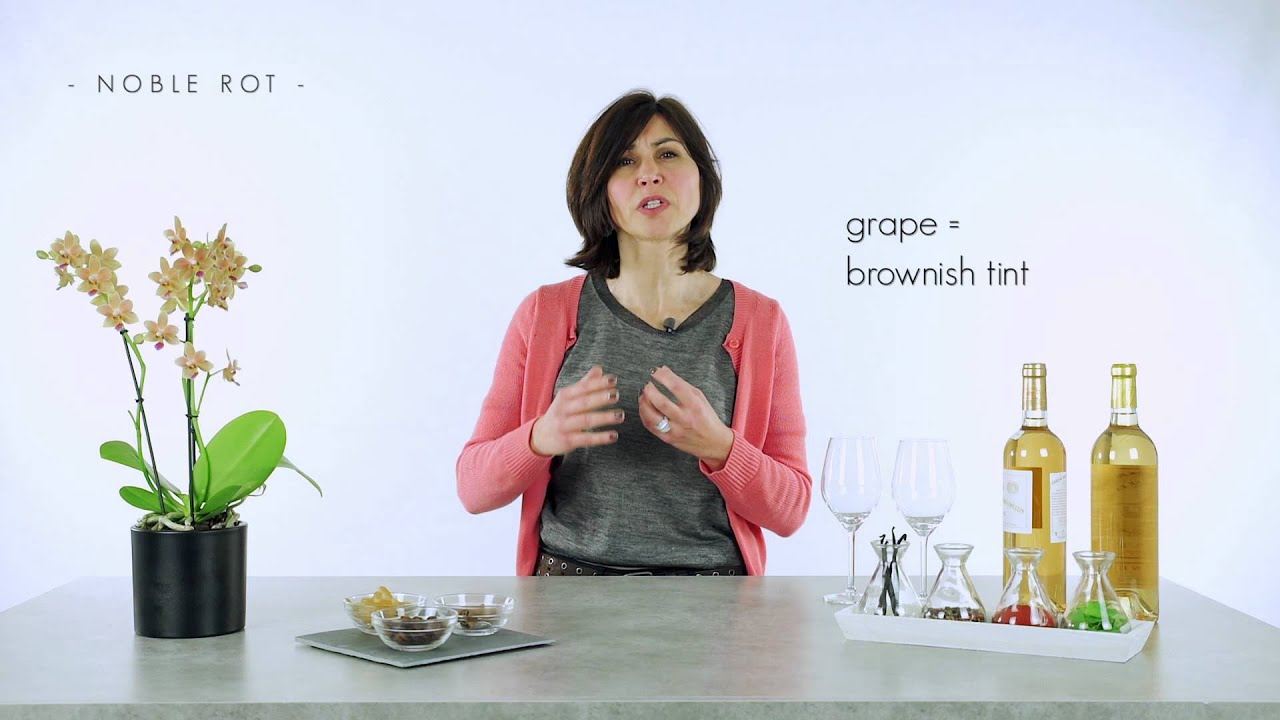 Microclimate & Harvest - Sweet Wine Course #3 - YouTube