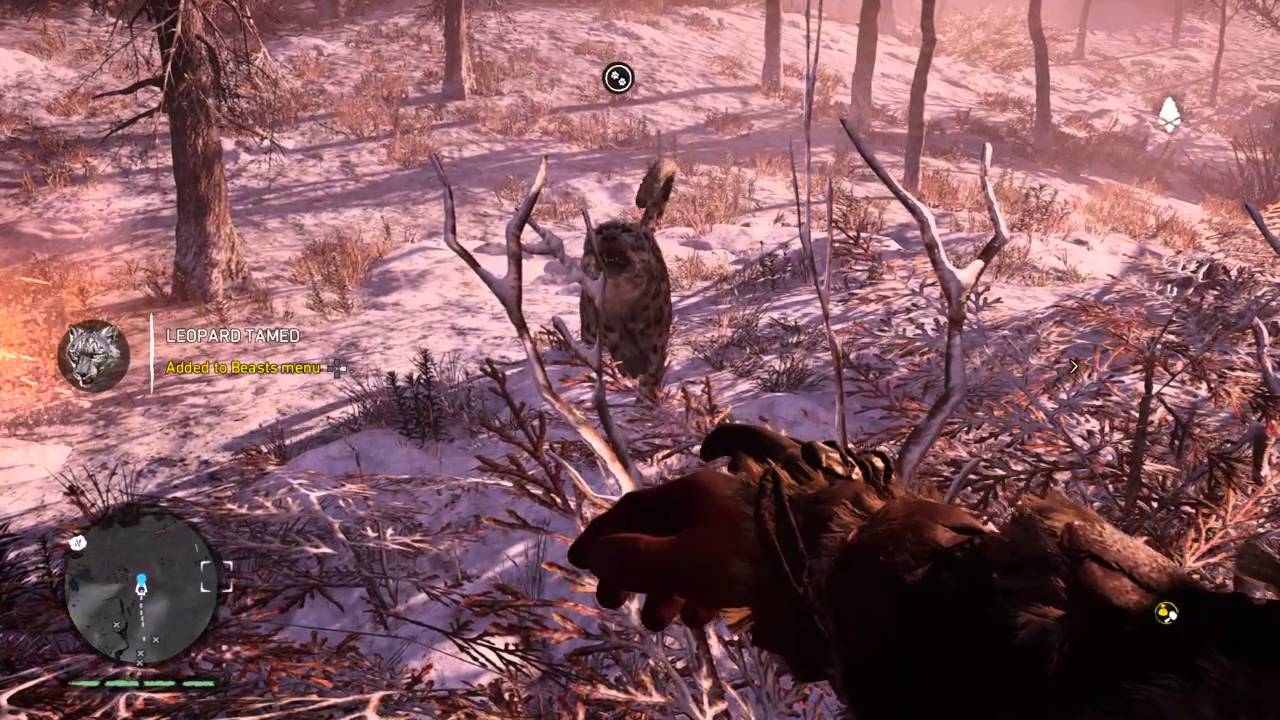 Far Cry Primal Leopard location - YouTube