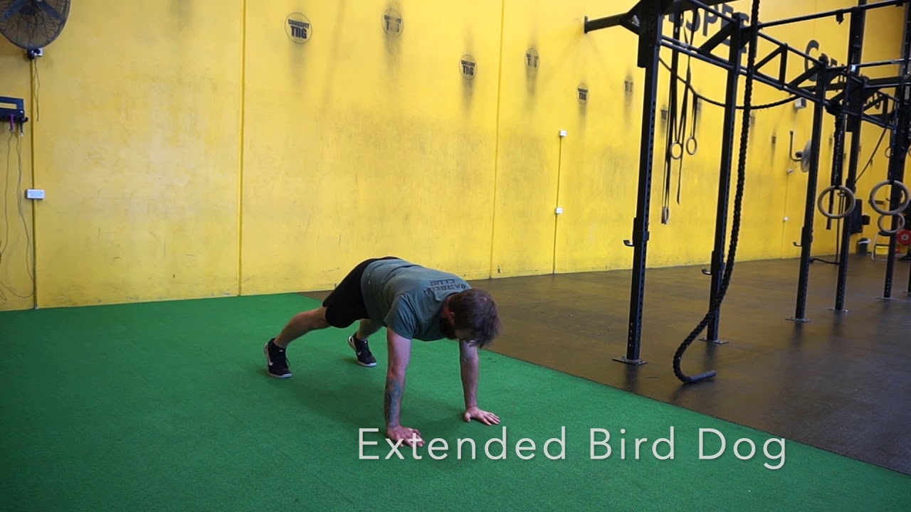 Extended Bird Dog - YouTube