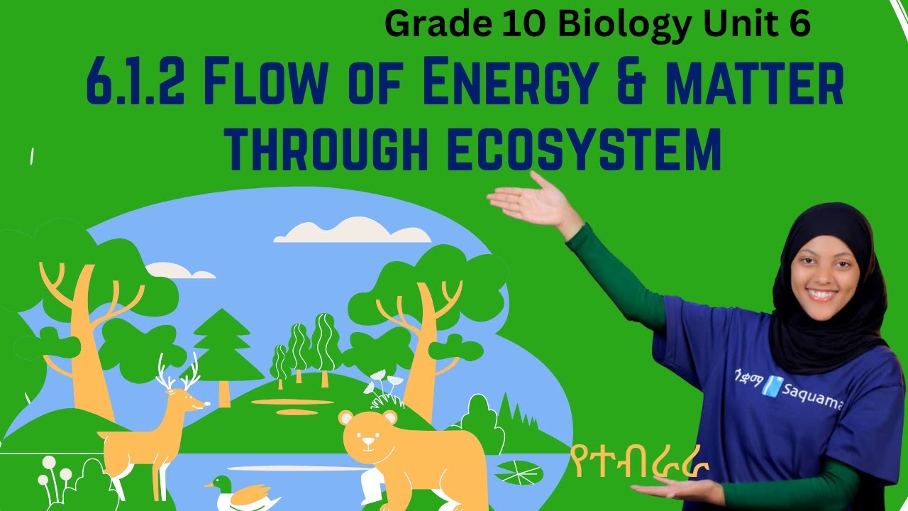 Grade 10 Biology Unit 6:6.1.2 Flow of Energy & Matter Through Ecosystem ...