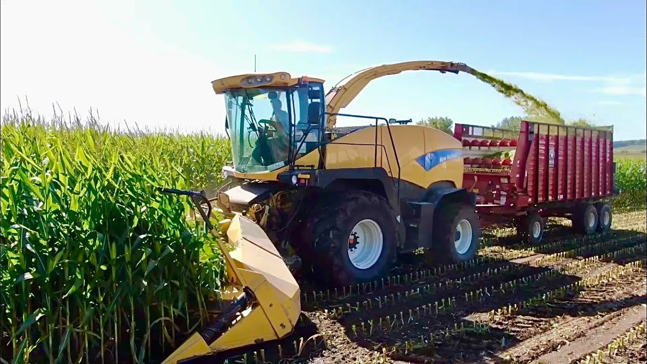 How to start farming with no land or equipment - YouTube