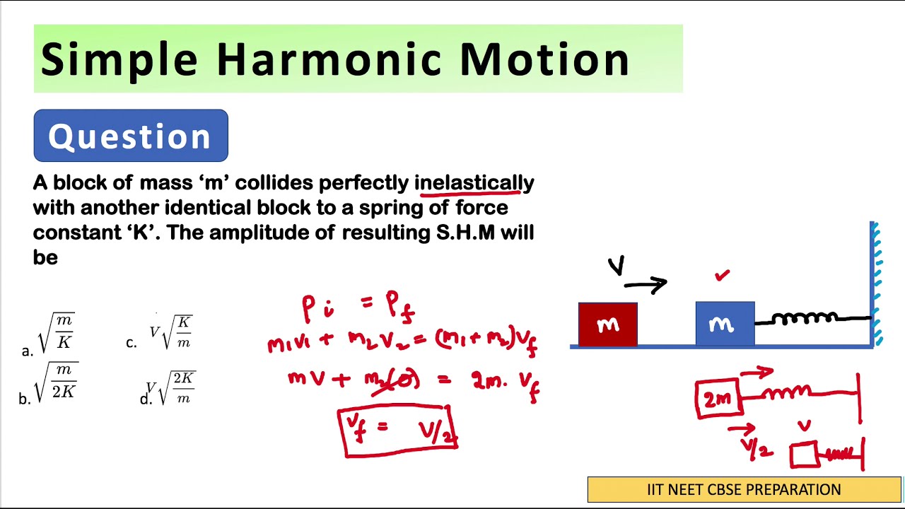 Simple Harmonic Motion | IIT JEE | NEET | CBSE - YouTube