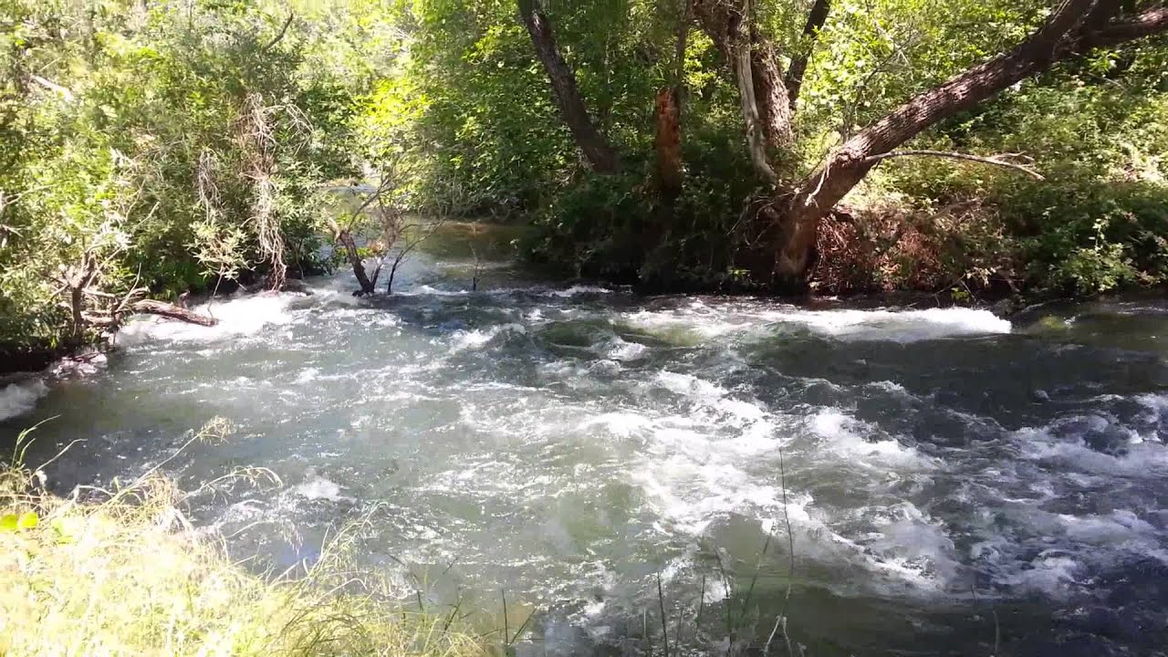 Nature walk - YouTube