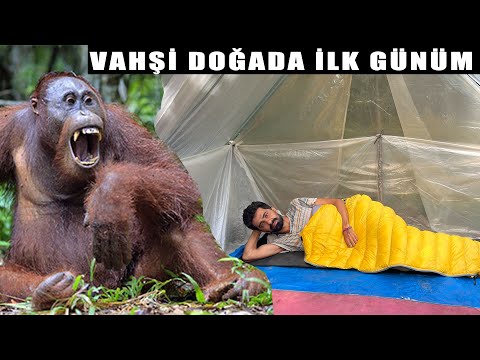 Otostop ile Obama'nın Belgesel Çektiği Yağmur Ormanlarına Gidiş ENDONEZYA /361