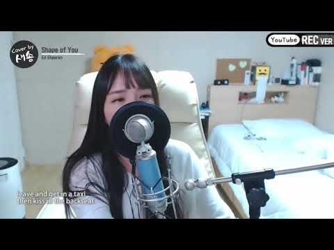 Ed Sheeran(에드 시런) - Shape of You COVER by 새송
