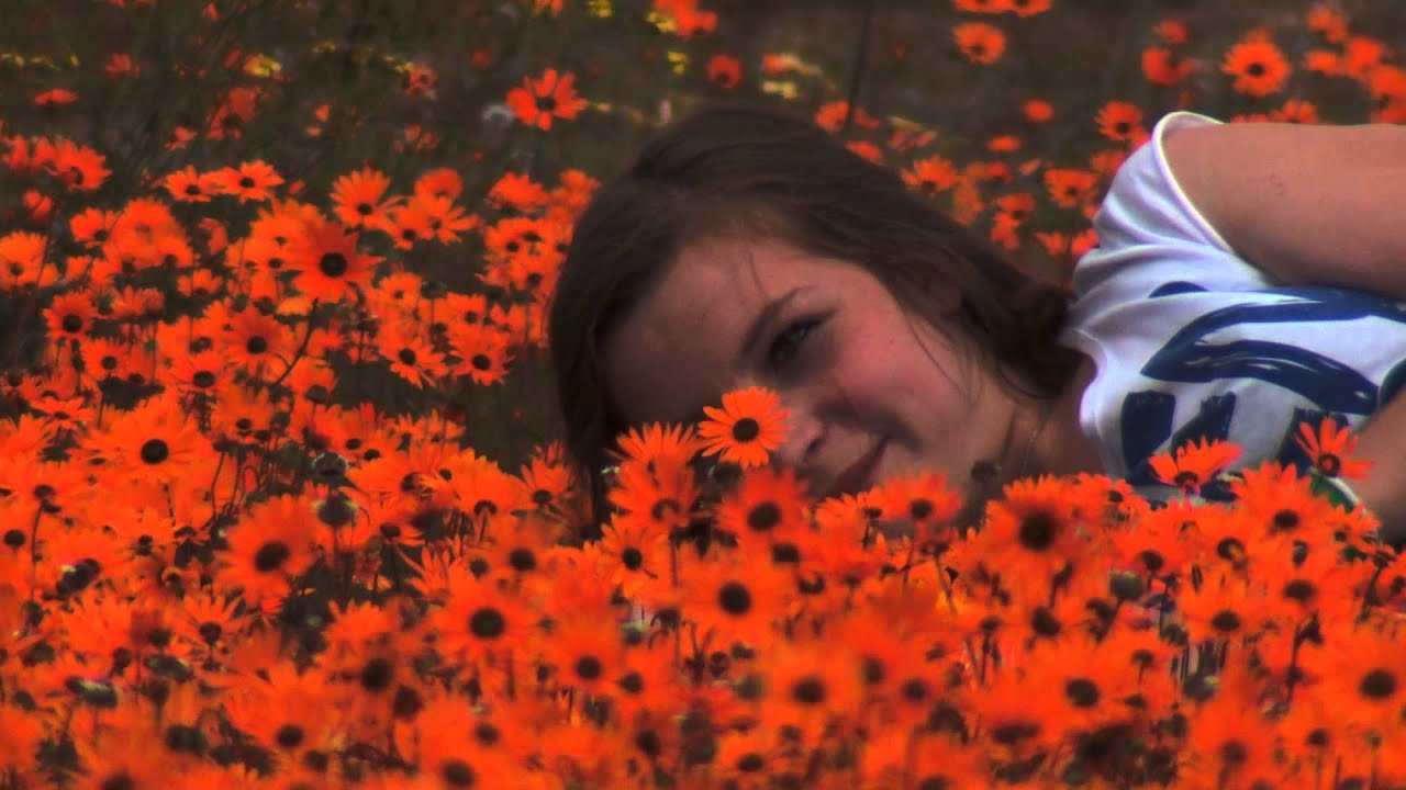 Springbok Flowers - Northern Cape - YouTube