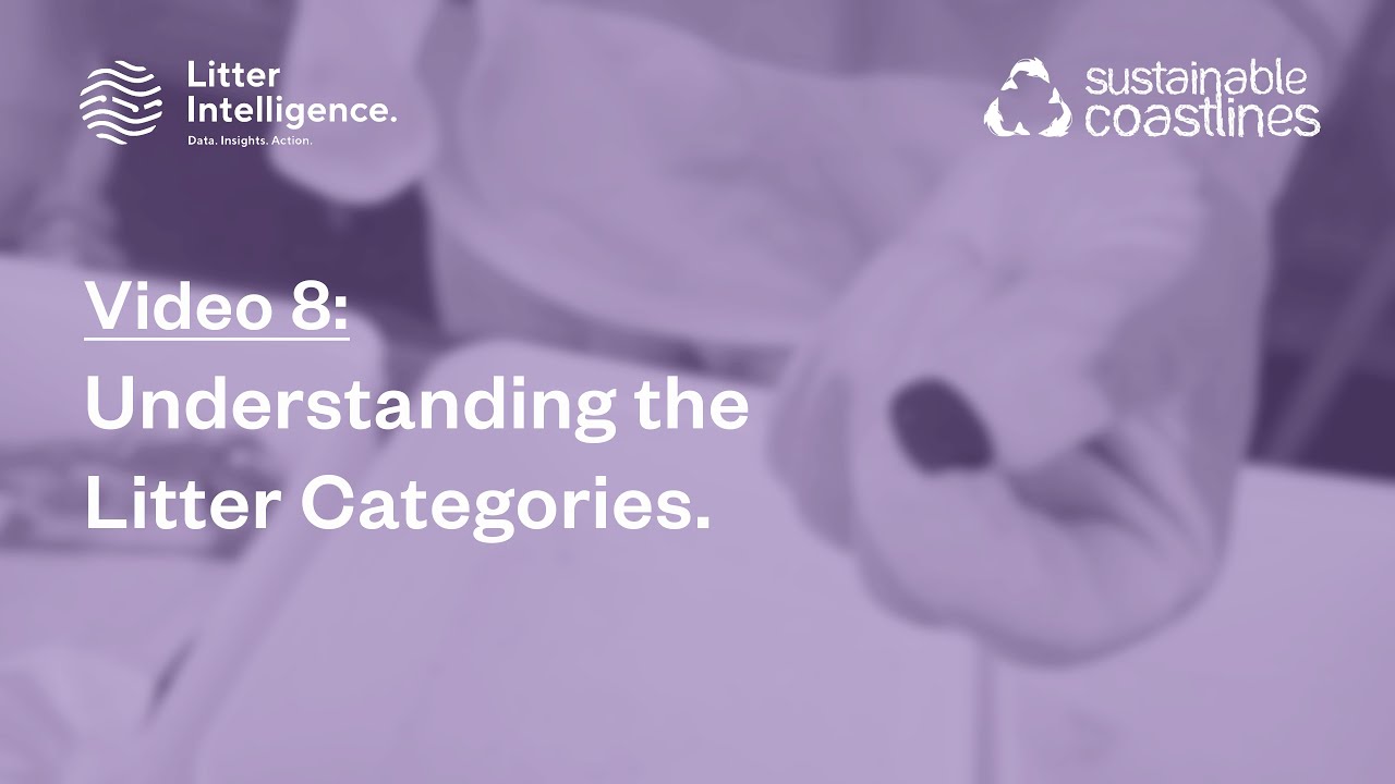 Video 8: Understanding the Litter Categories - YouTube