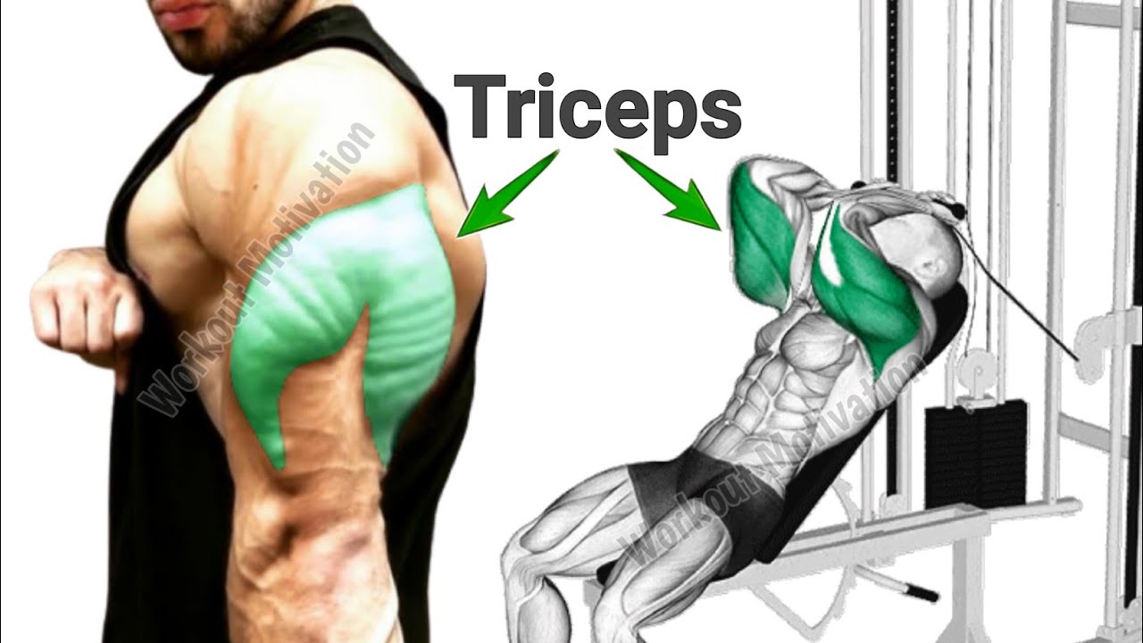 6 BEST Triceps Exercises for WIDER TRICEPS - YouTube