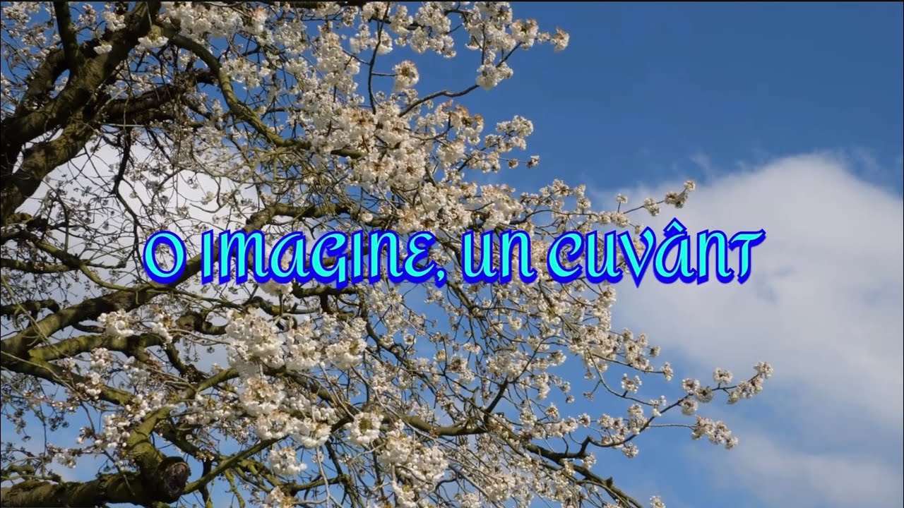 O IMAGINE, UN CUVÂNT - 23 05 2023 - YouTube