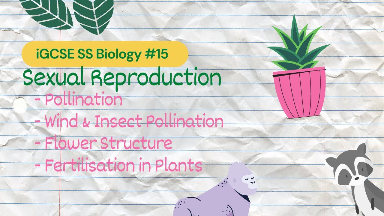 Sexual Reproduction | iGCSE SS Bio #15 - YouTube