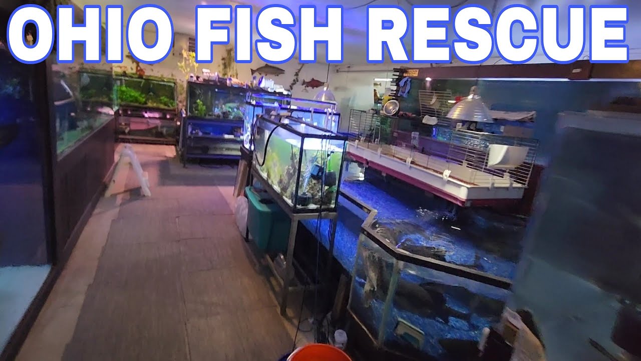 Walkthrough the OHIO FISH RESCUE with Bigrich - YouTube