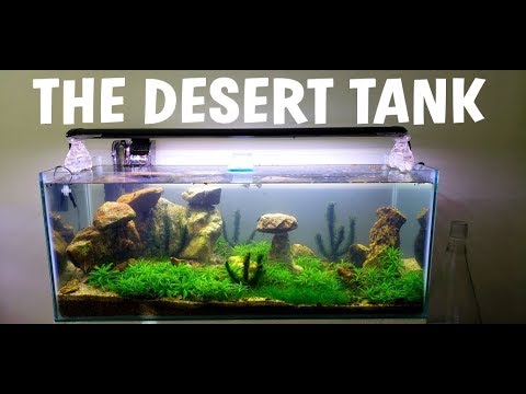 What Happened To The Desert Tank? - YouTube