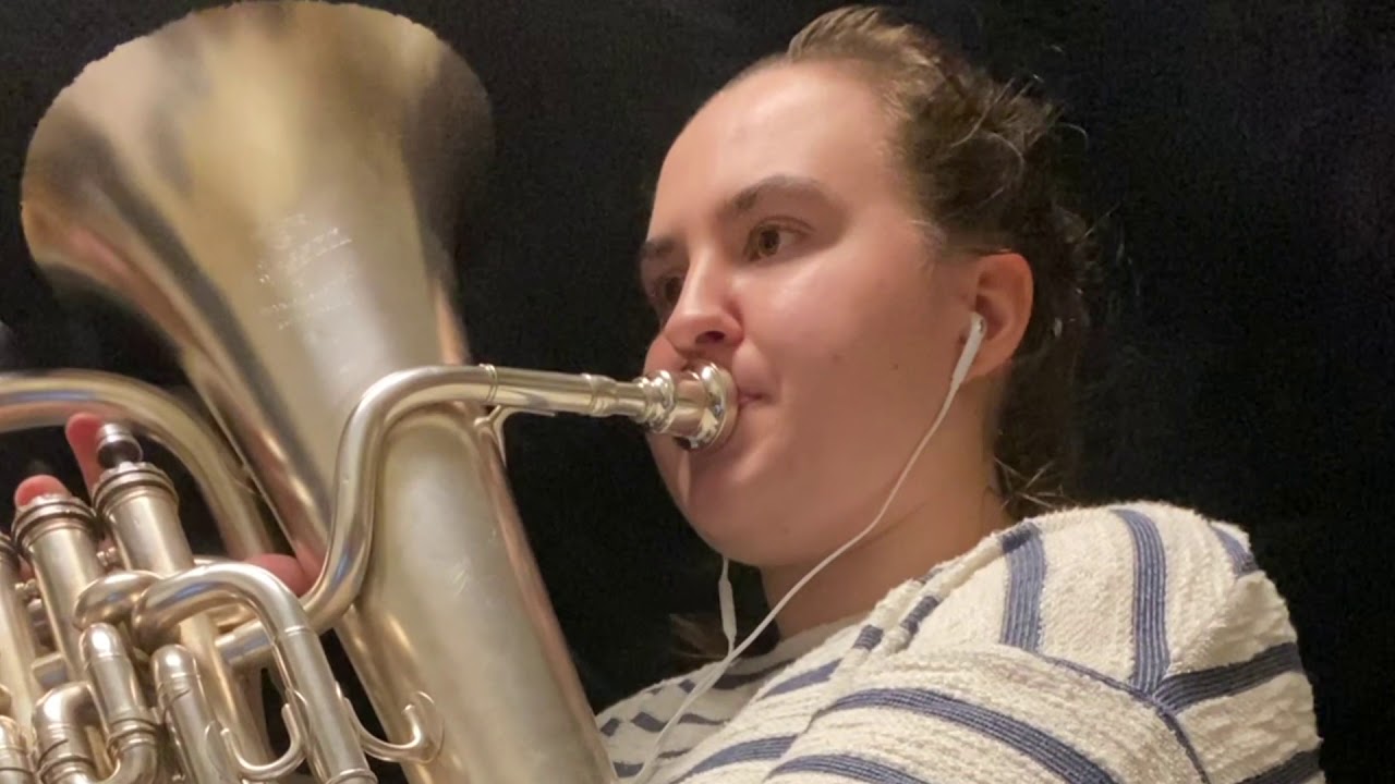 The Circus Bee - Henry Fillmore performed by the UW-Platteville ...