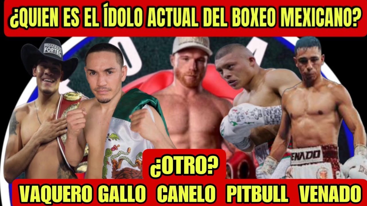¿QUIEN ES EL IDOLO ACTUAL DEL BOXEO MEXICANO? CANELO, GALLO, VAQUERO ...