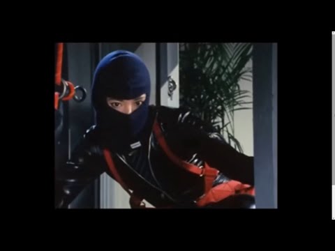 A masked female cat burglar wants to steal a painting!