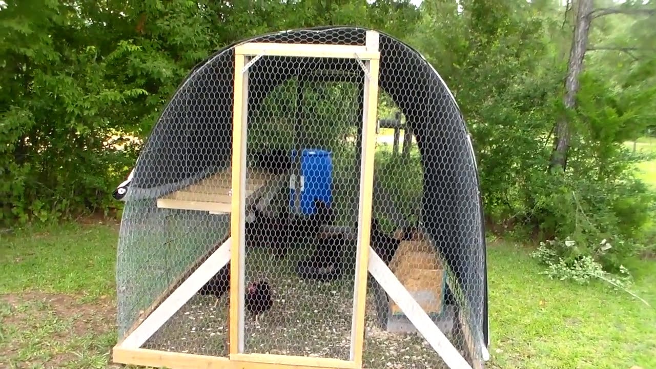 The chicken's new "deluxe" hoop coop - YouTube