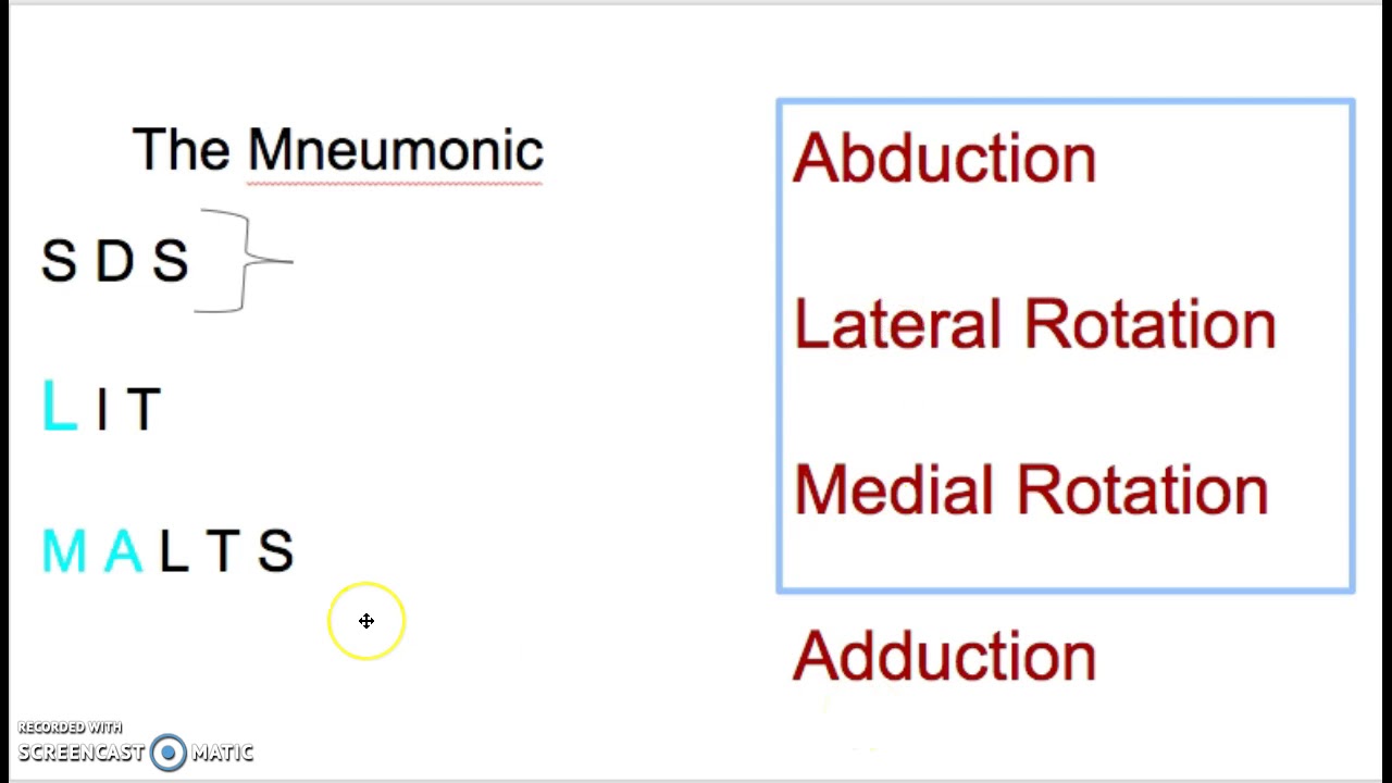 SITS SHOULDER MUSCLES IN 6 MINUTES - YouTube