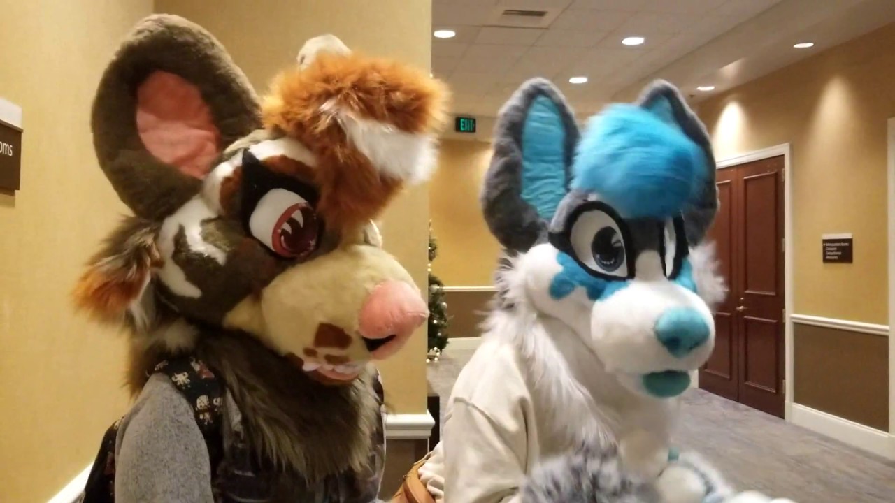 Capital City Fur Con 2020 Montage - YouTube