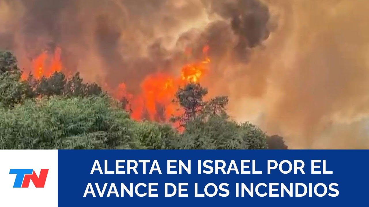 INCENDIOS EN ISRAEL: Netanyahu advierte que los incendios forestales ...