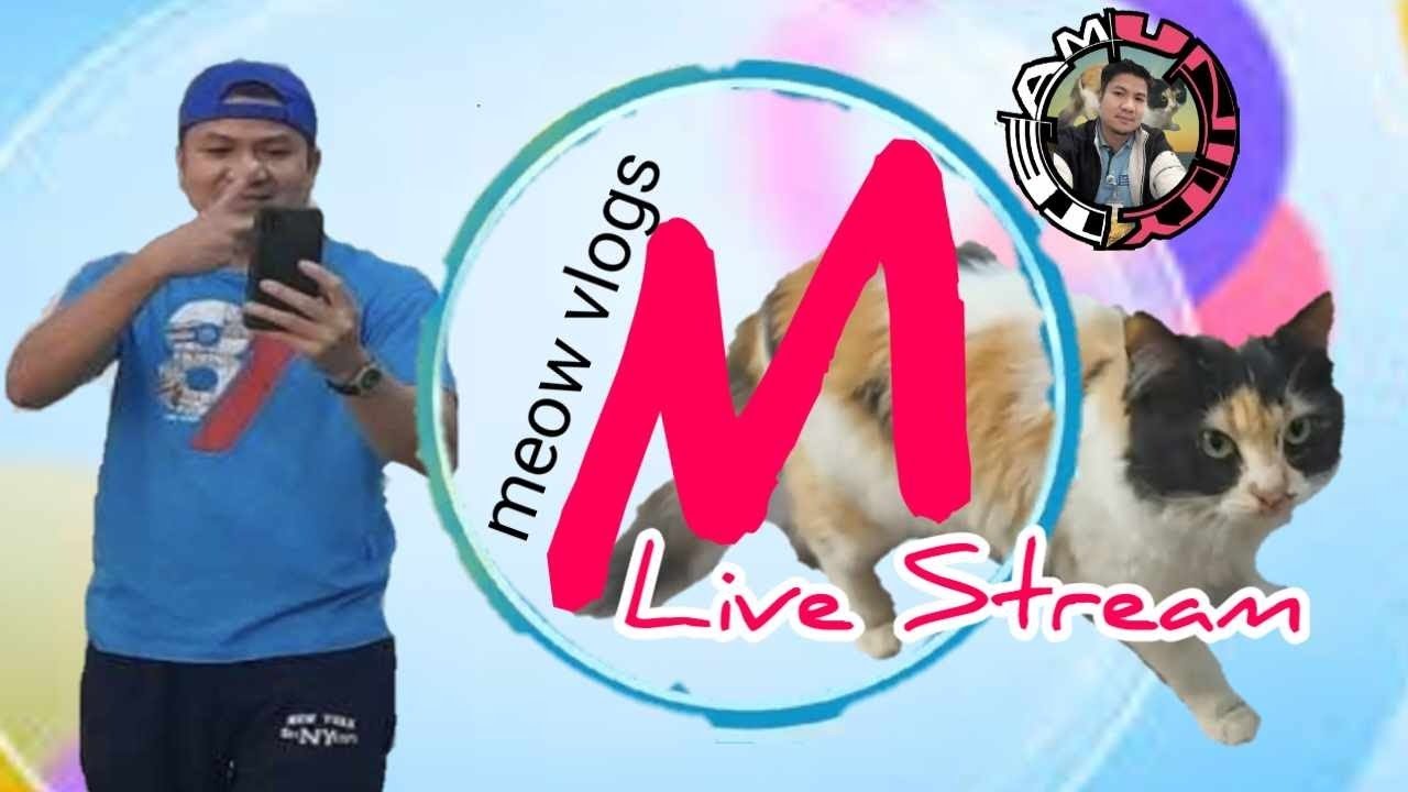 MAGING MALAYA TAYO KAYA WALANG MAKAKAPIGIL SA AKIN MEOW - YouTube
