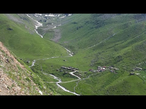Delibal ve bal tutmasına dair bilgiler .kestane balı.