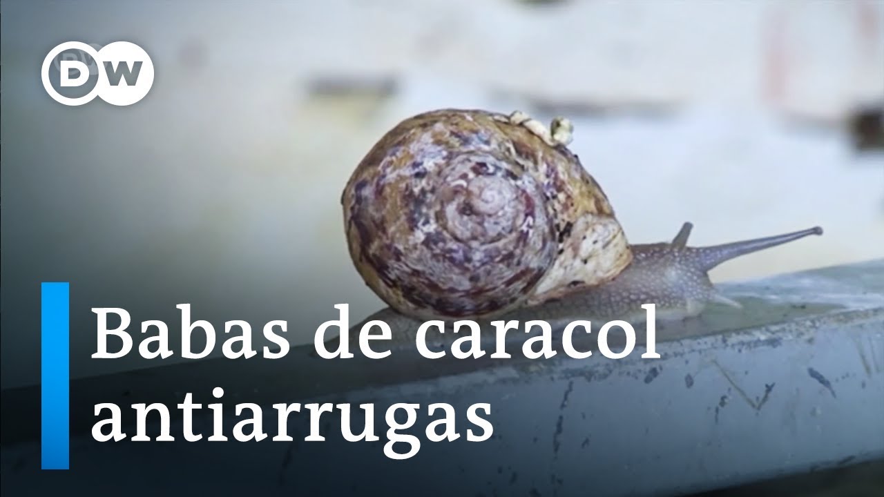Babas de caracol antiarrugas - YouTube
