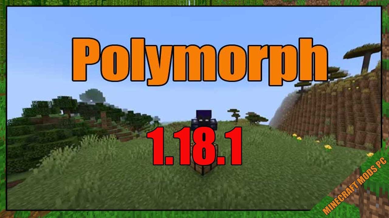 Polymorph Mod 1.18.1 Download - How to install it for Minecraft PC ...