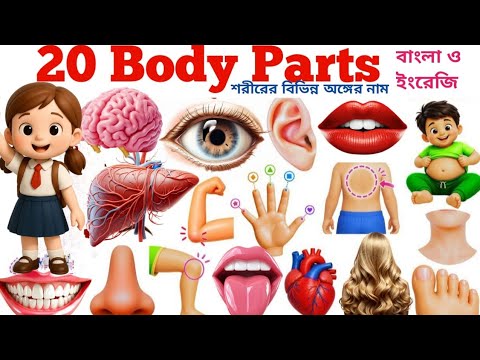 Body Parts Name For Kids | Learn 20 Human Body Parts Name In English With Picture | Preschool Video 