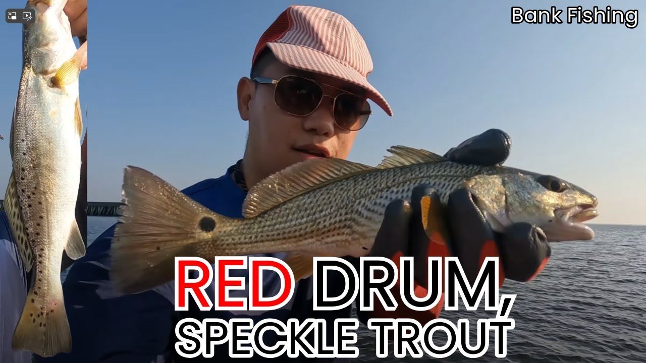 Bank Fishing Caught Undersize Trout, Red Drum and a Bass! - YouTube